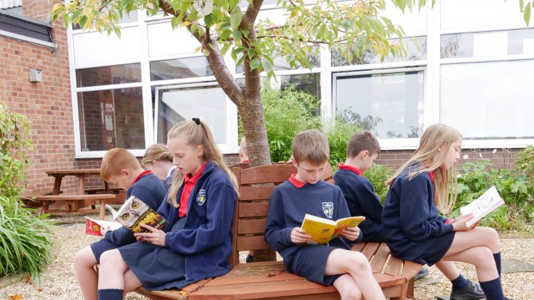 The Benefits of Mixed Age Classes – Elvington’s Approach | Elvington ...