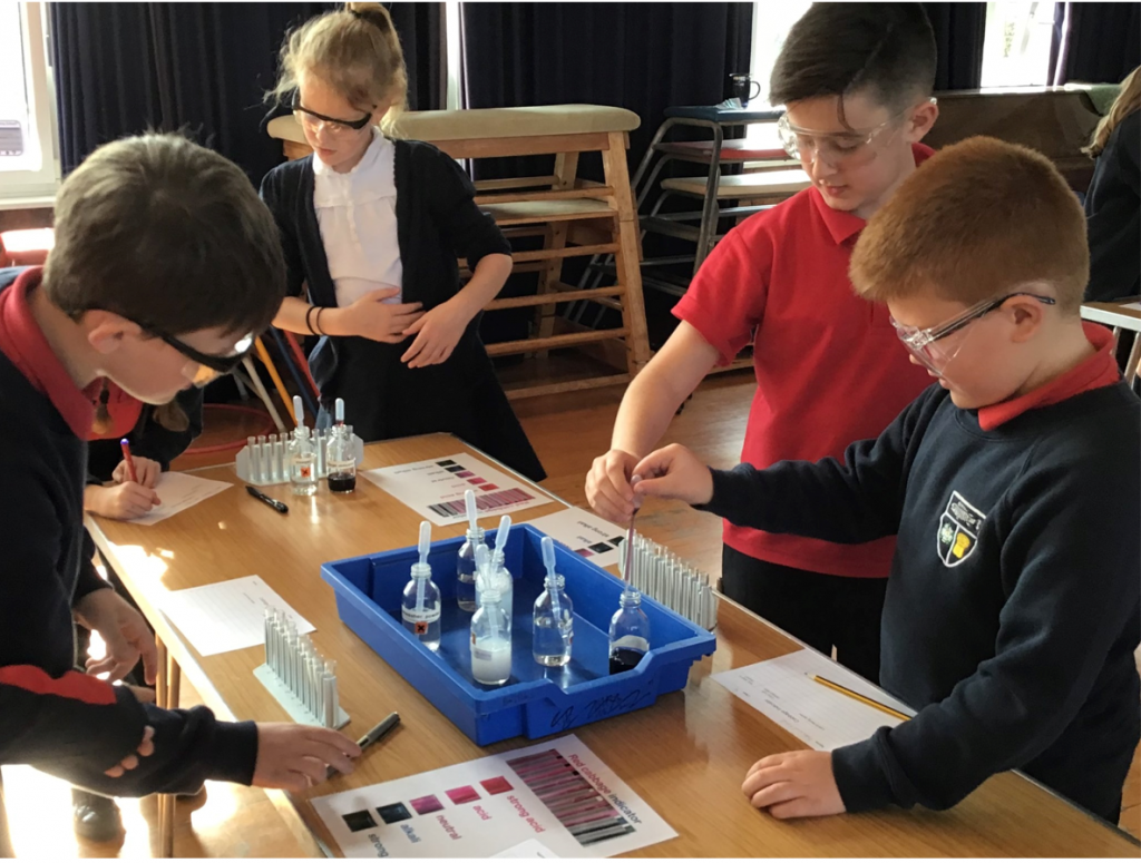 The Benefits of Mixed Age Classes – Elvington’s Approach | Elvington ...